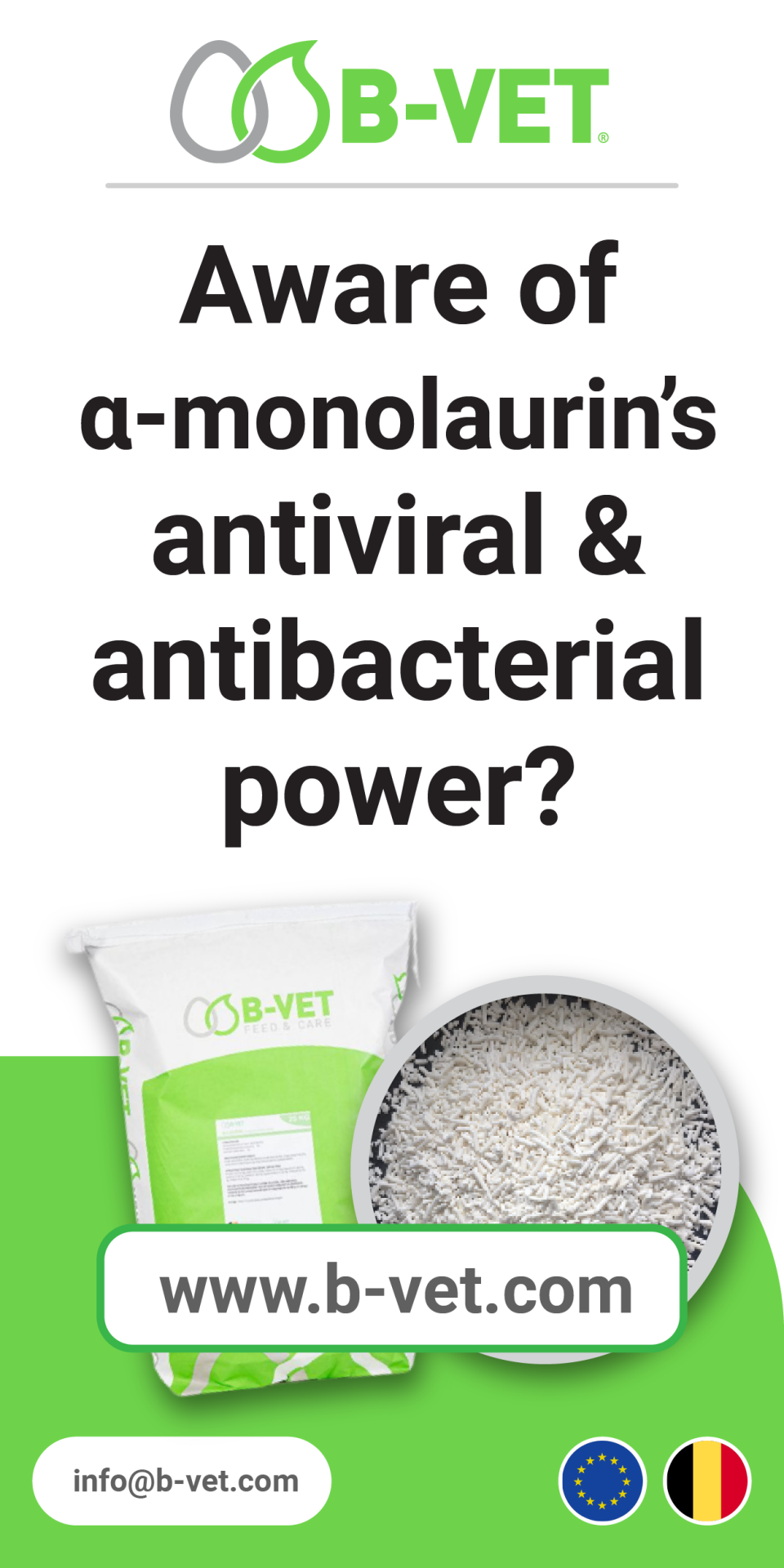 Ugandan youth are innovating a climate resilient chicken value chain ...