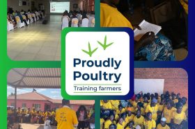 Phatisa sells Deltamune to Vaxxinova, strengthening regional vaccine ...